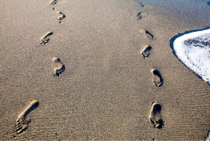 8 Common Things That are 12 Meters Long | Measuringly