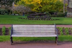 9 Common Things That are 30 Feet Tall | Measuringly