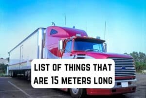 9 Common Things That are 15 Meters Long | Measuringly