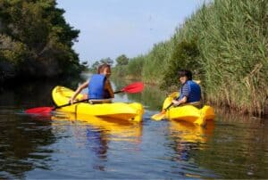 9 Common Things That are 20 Feet Big | Measuringly