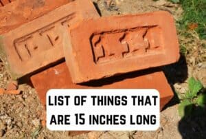 8 Common Things That are 15 Inches Long | Measuringly