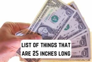 10 Common Things That are 25 Inches Long | Measuringly