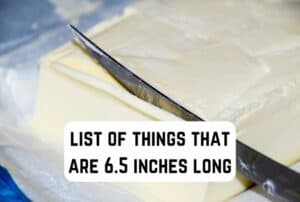 8 Common Things That are 6.5 Inches Long | Measuringly