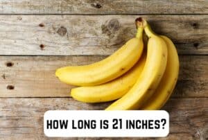 10 Things That are 21 Inches Long | Measuringly