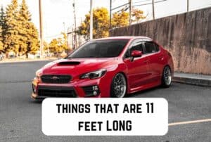 9 Common Things That are 11 Feet Long (With Examples) | Measuringly