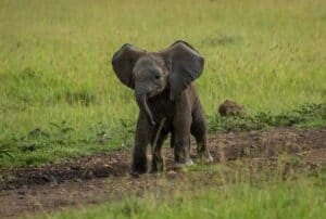 8 Common Things That Weigh 100 Kilograms | Measuringly