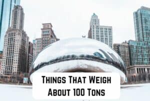 8 Common Things That Weigh About 100 Tons (+Pics) | Measuringly