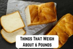 8 Common Things That Weigh 6 Pounds (Examples Inside) | Measuringly
