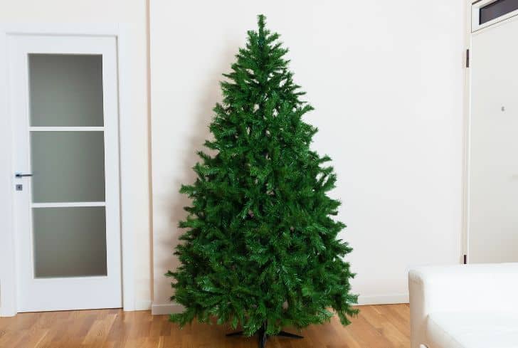 9 Common Things That Are About 7 Feet Long (+Pics) | Measuringly