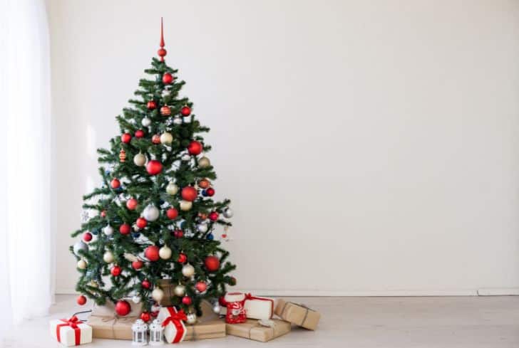 8 Common Things That Are About 4 Meters Long (+Pics) | Measuringly