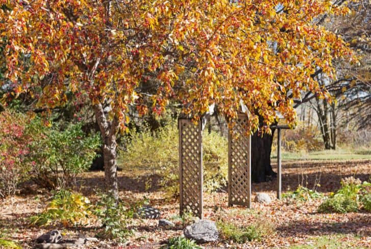 8 Common Things That Are About 15 Feet Long (+Pics) | Measuringly