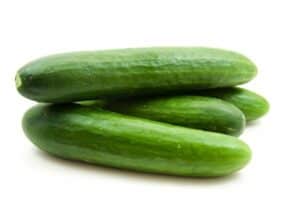 9 Common Things That Are About 20 Inches Long (+Pics) | Measuringly