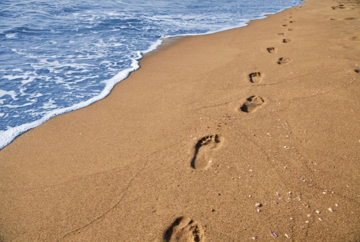 8 Common Things That Are About 15 Feet Long (+Pics) | Measuringly