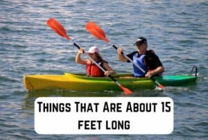 8 Common Things That Are About 15 Feet Long (+Pics) | Measuringly