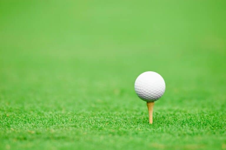 How Long is 19 Inches? Explained With 15 Practical Visuals | Measuringly