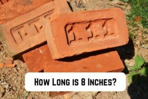 How Long is 8 Inches? Explained With 14 Practical Visuals | Measuringly