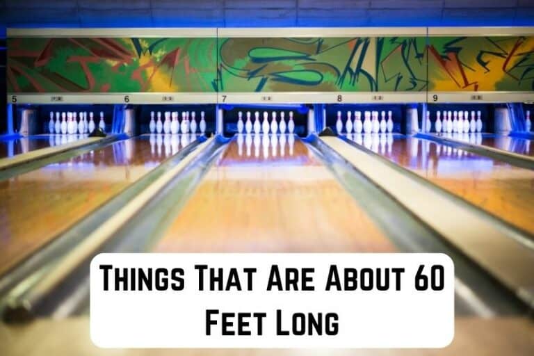 14 Common Things That Are About 60 Feet Long (+Pics) | Measuringly