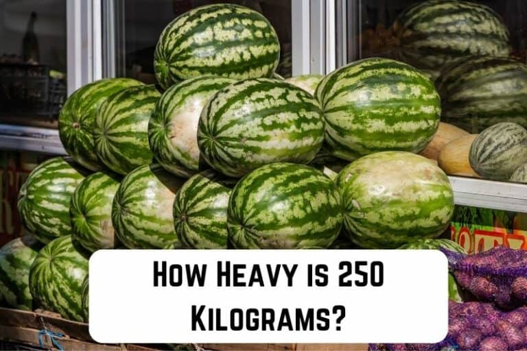 How Heavy is 250 Kilograms? With 15 Practical Visuals | Measuringly