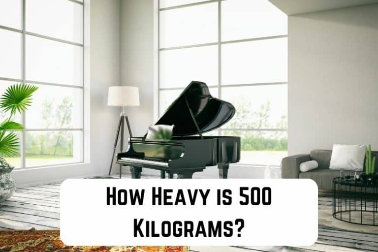 How Heavy is 500 Kilograms? (14 Practical Visuals) | Measuringly