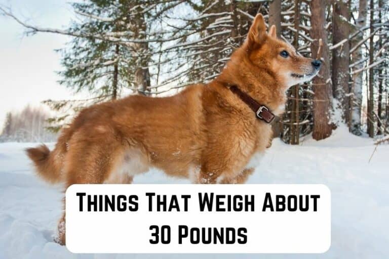 15 Common Things That Weigh About 30 Pounds (+Pics) | Measuringly
