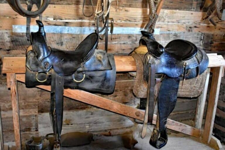How Much Do Saddles Weigh? (Quick Guide for Horse Riders) | Measuringly