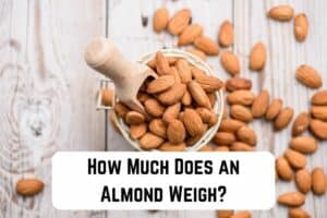 How Much Does an Almond Weigh? (Comparison With Other Nuts) | Measuringly