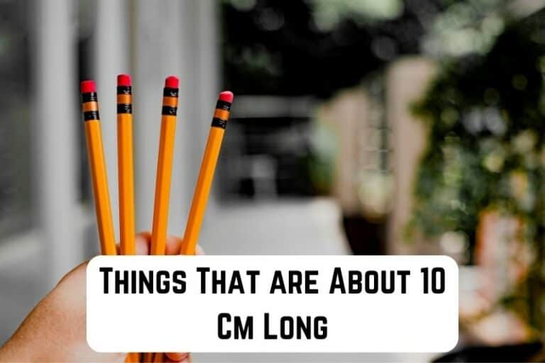 15 Common Things That are About 10 Cm Long (+Pics) | Measuringly