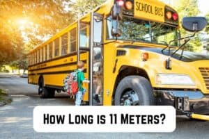 How Long is 11 Meters? 13 Common Comparisons (+Pics) | Measuringly