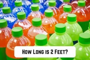 How Long is 2 Feet? 16 Common Comparisons (+Pics) | Measuringly