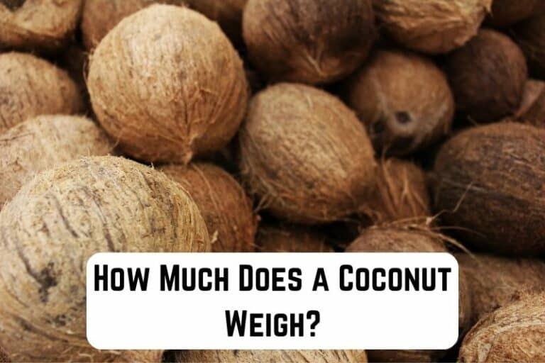 How Much Does a Coconut Weigh? (Detailed Guide) | Measuringly
