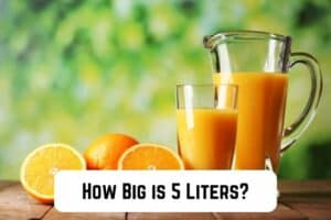 How Big is 5 Liters? 12 Common Comparisons (+Pics) | Measuringly