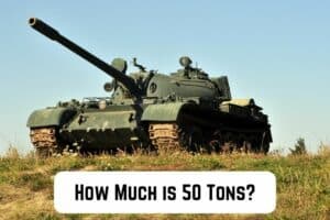 How Much is 50 Tons? 15 Common Comparisons (+Pics) | Measuringly