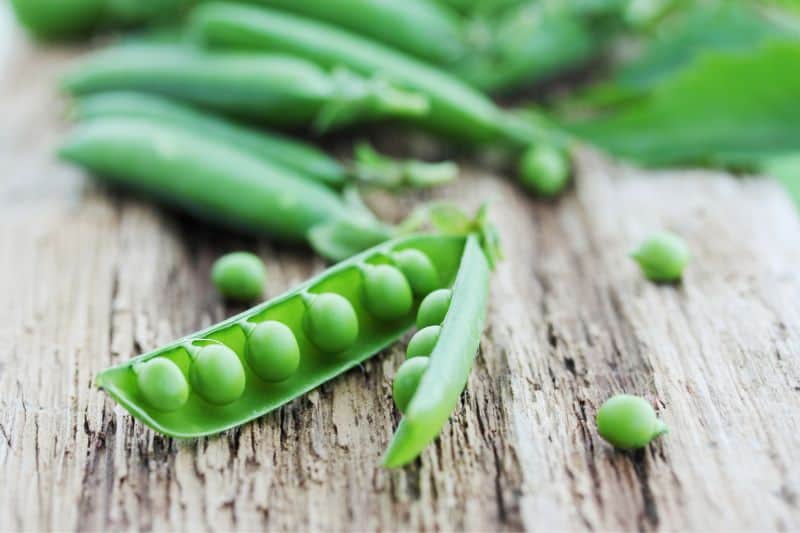 How Big is 20 Mm? 16 Common Comparisons (+Pics) | Measuringly