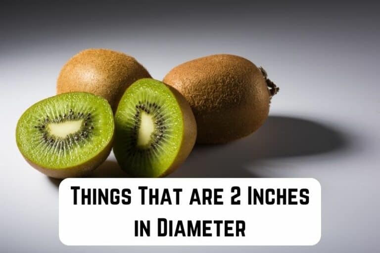 20 Things That are 2 Inches in Diameter (+Pics) | Measuringly